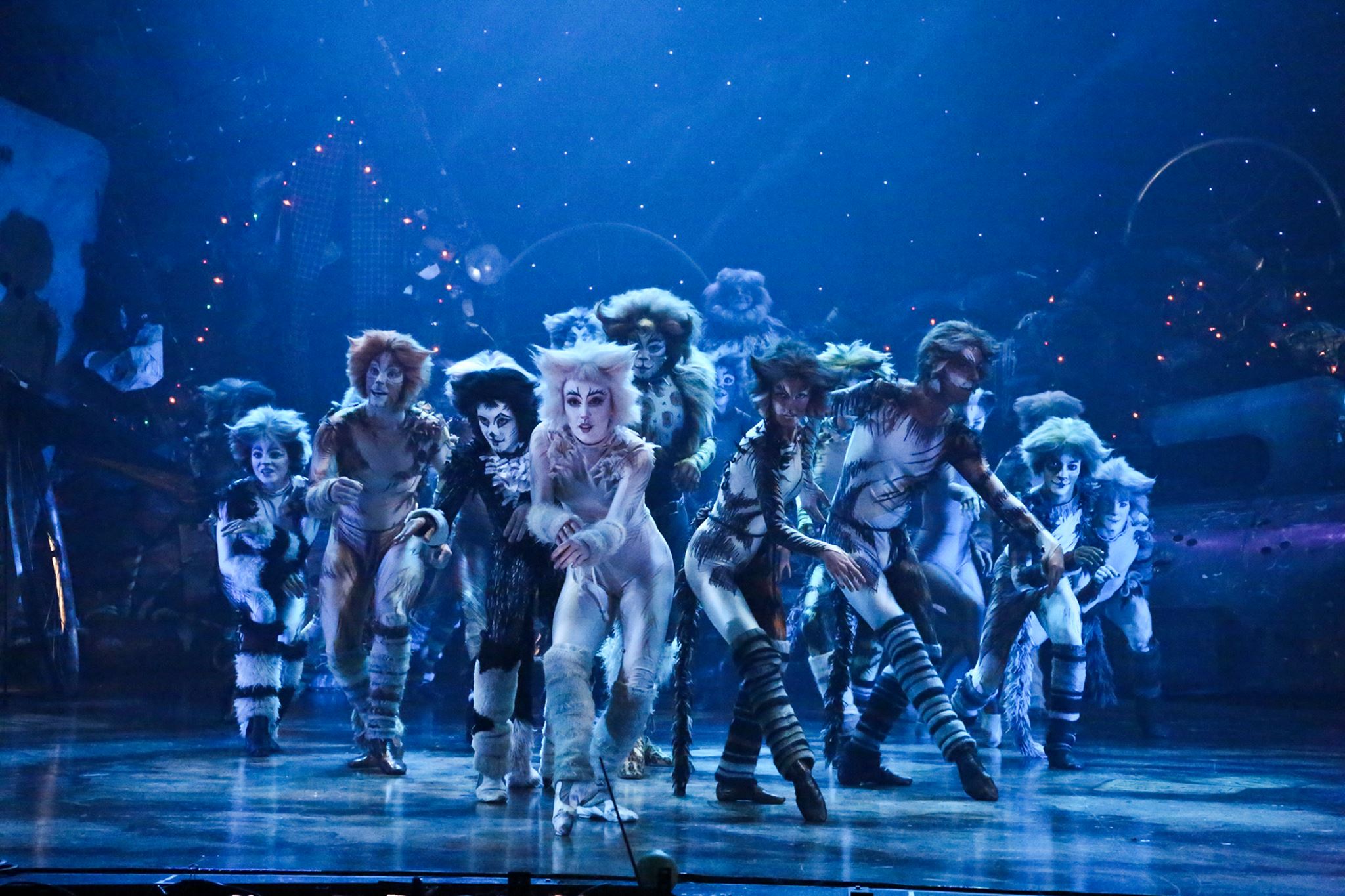 CATS at La Mirada Theatre for the Performing Arts - Los Angeles Drama ...